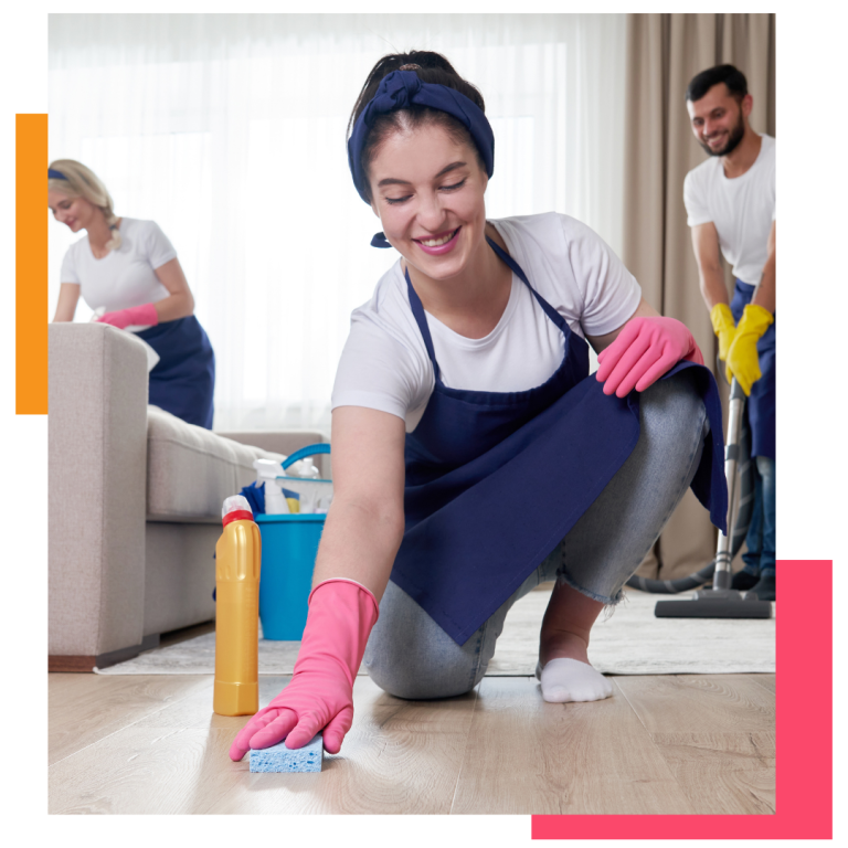 DOMESTIC CLEANING SERVICES – CareCo Services
